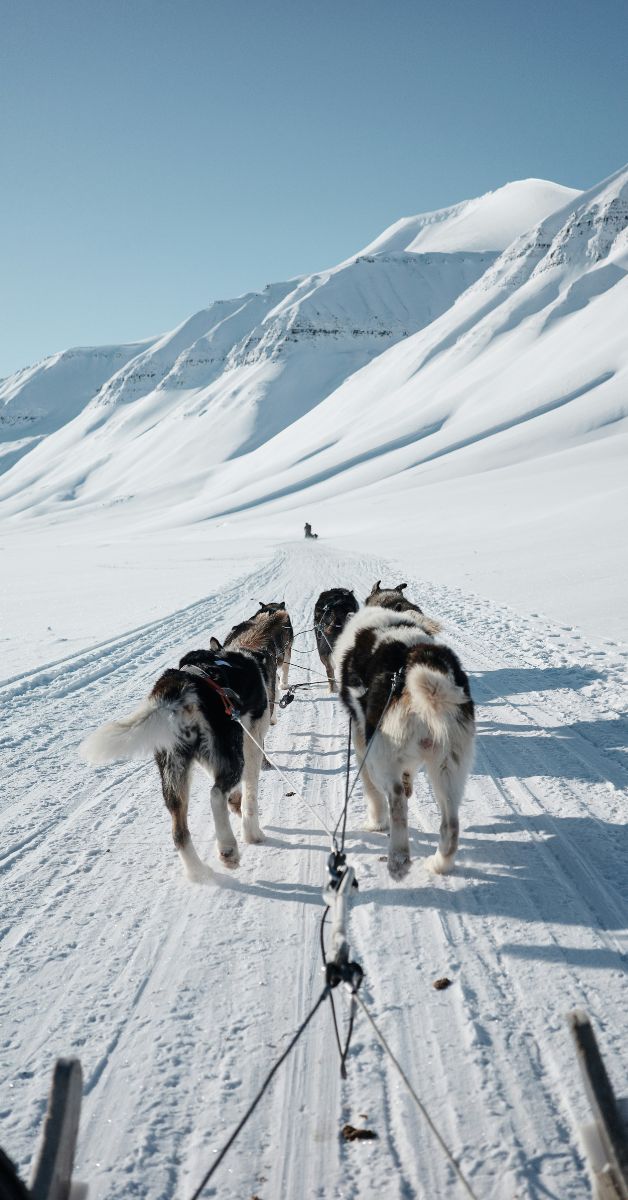 KeyFlight Blog - Essential Travel InsightsKeyFlight