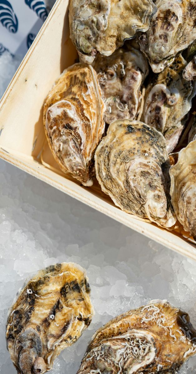 KeyFlight Blog - Essential Travel InsightsKeyFlight